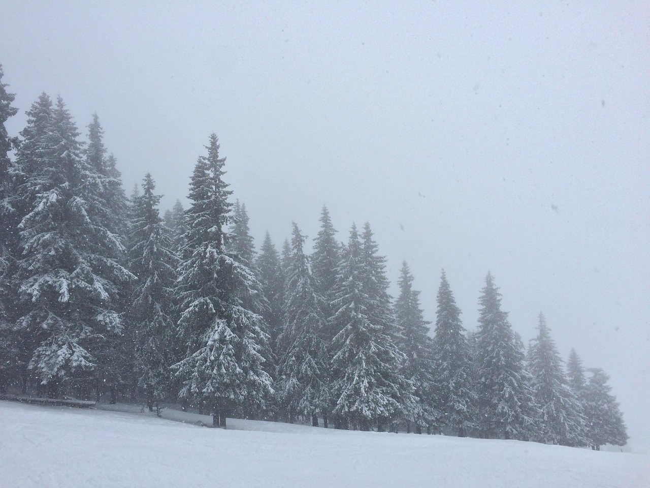 Landscape Winter Snow - Free photo on Pixabay - Pixabay