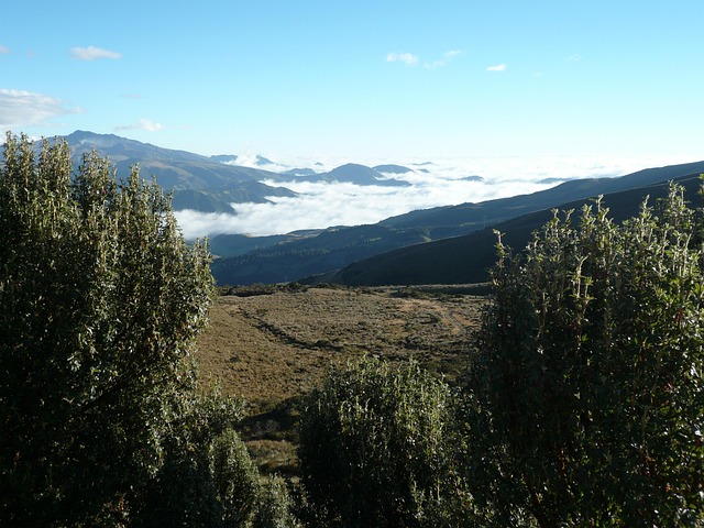 70+ Free Quito & Ecuador Images - Pixabay