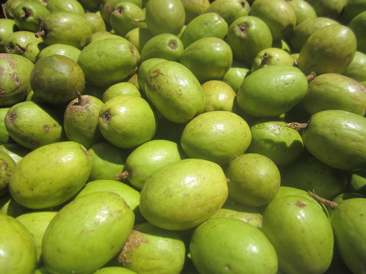 Fruits Green Healthy - Free photo on Pixabay - Pixabay