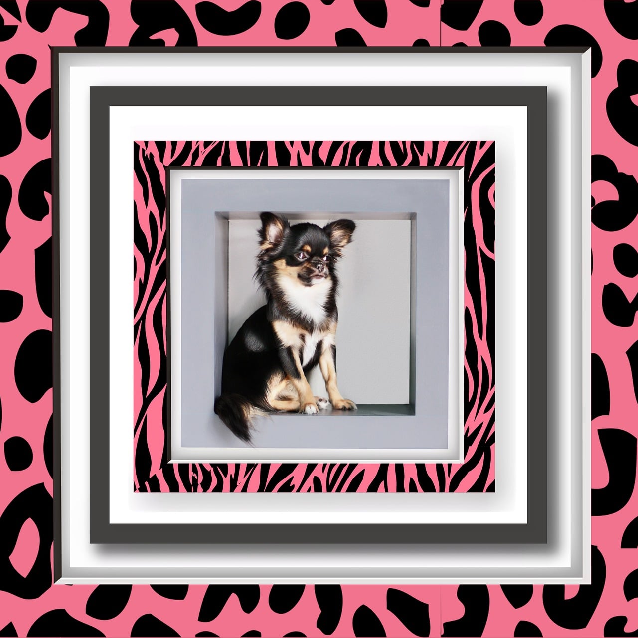 30,000+ Free Cute Frame & Frame Images - Pixabay