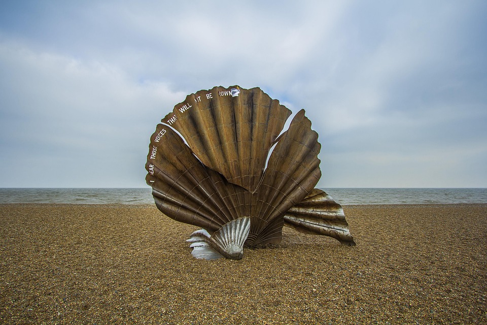 North Sea England Oysters - Free photo on Pixabay - Pixabay