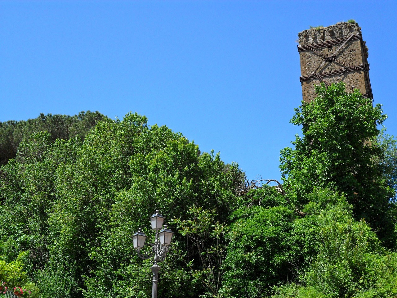 Torre Trees Green Middle - Free photo on Pixabay