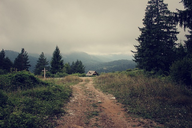 Route De Campagne Chemin Terre - Photo gratuite sur Pixabay - Pixabay