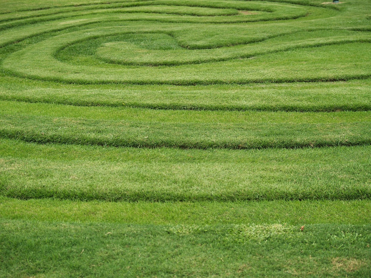Nature Grass Design - Free photo on Pixabay