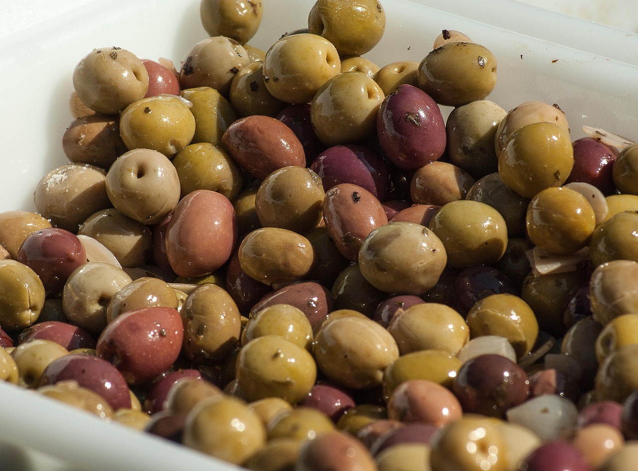 Olives Olive Trees Oil - Free photo on Pixabay - Pixabay