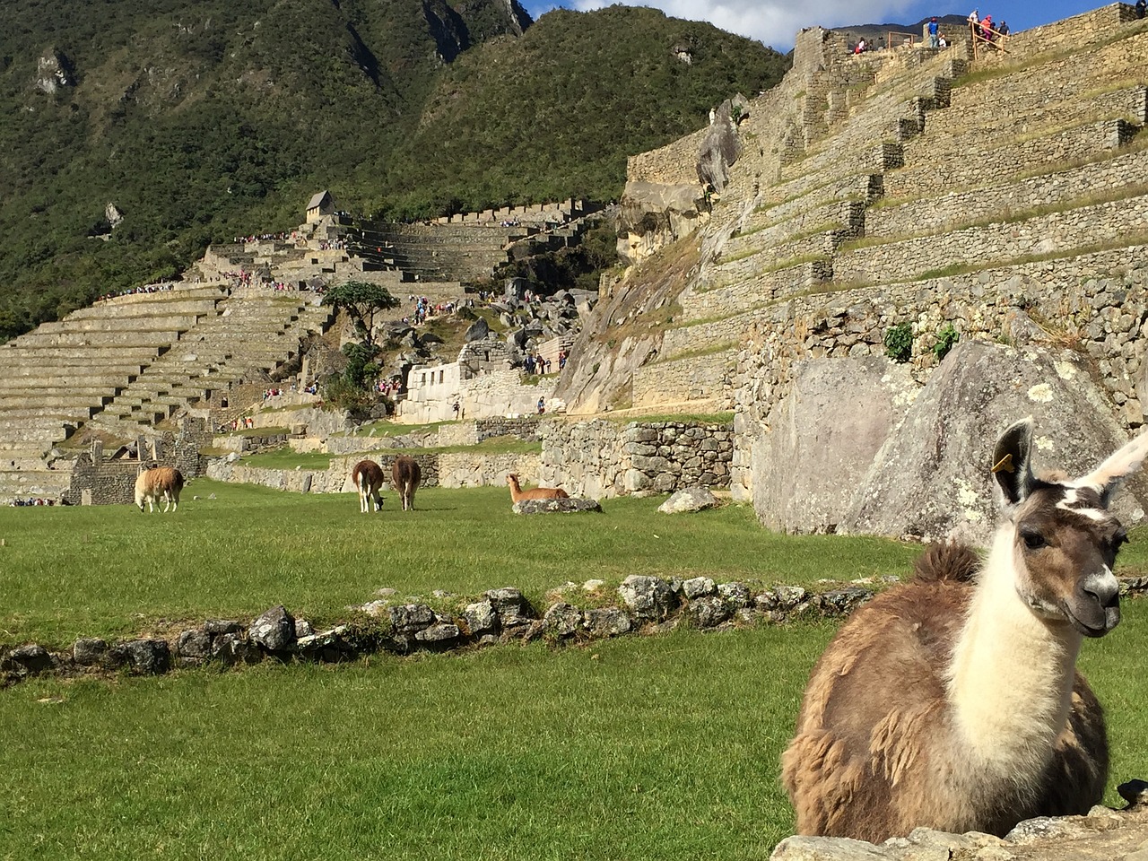 Machu Pichu Peru - Kostenloses Foto auf Pixabay - Pixabay