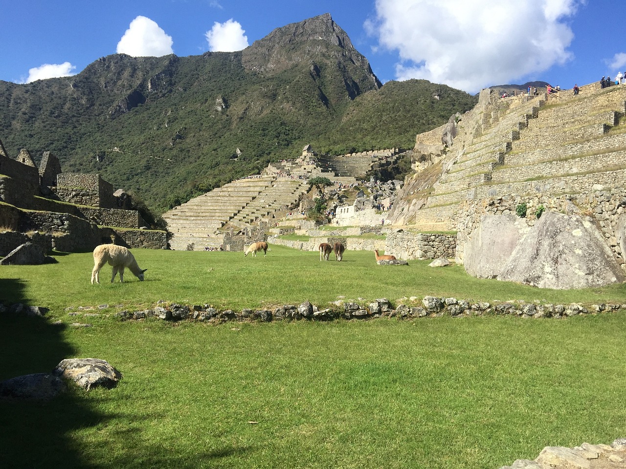 Machu Pichu Peru - Kostenloses Foto auf Pixabay - Pixabay