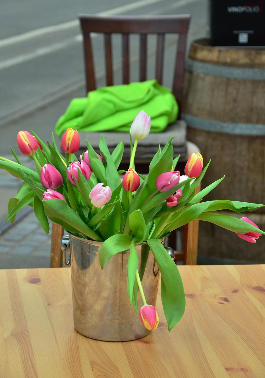 Strutsi Tulppaanit Tulip Kimppu - Ilmainen valokuva Pixabayssa - Pixabay
