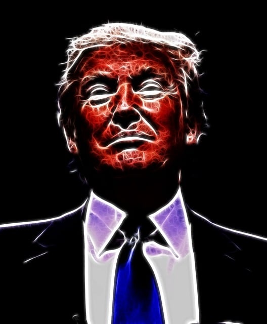 400+ kostenlose Donald Trump und Trump-Bilder - Pixabay