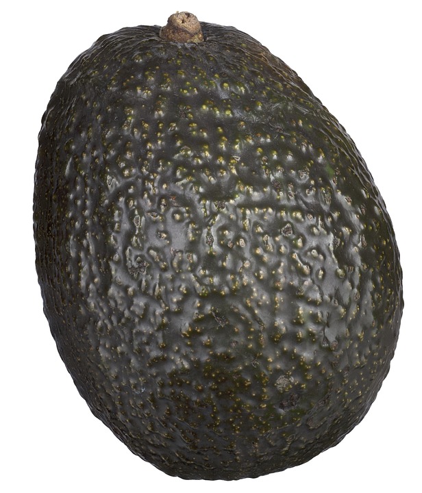 Avocado Fresh Healthy - Free photo on Pixabay