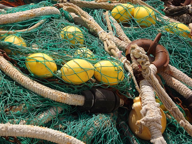 Fischernetz Netze Fischerei - Kostenloses Foto auf Pixabay