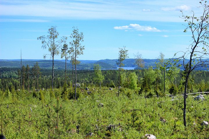 60+ Free Finnish Landscape & Finland Images - Pixabay