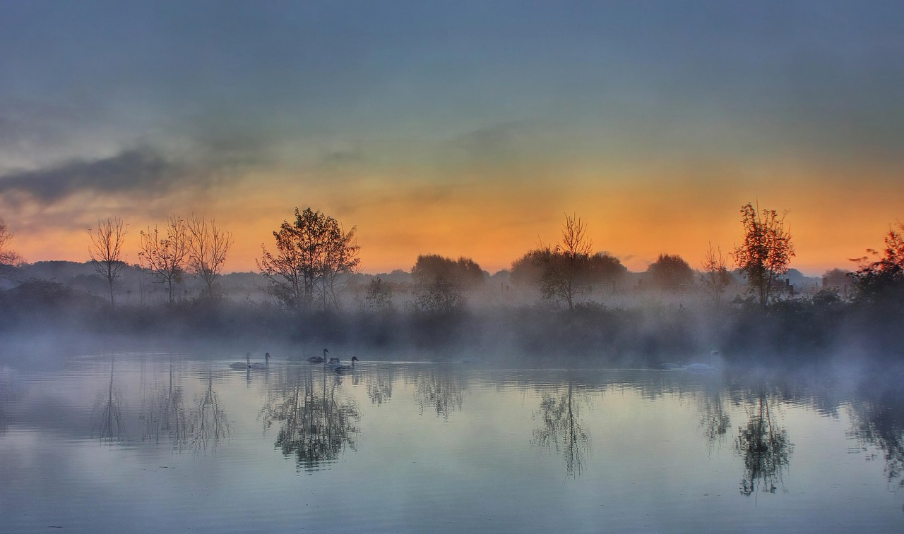Landskap Tåke Vann - Gratis foto på Pixabay - Pixabay