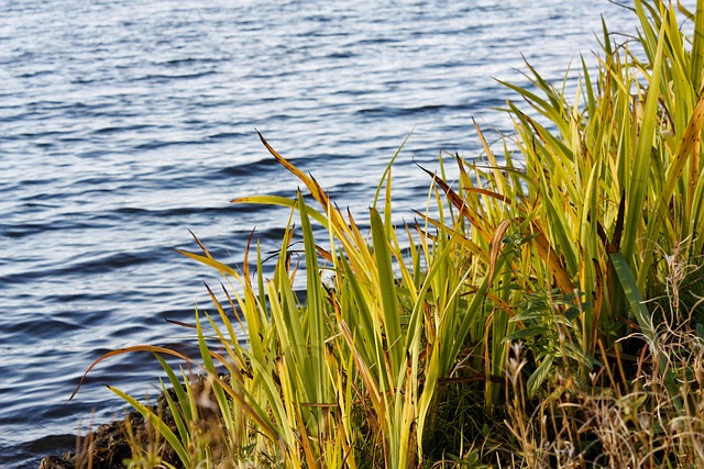 Water Sleet Hay - Free photo on Pixabay - Pixabay