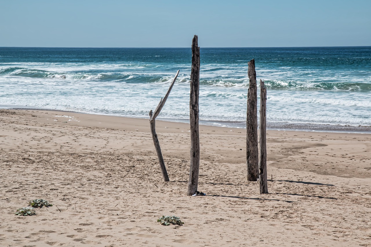 Seaside Beach Alone - Free photo on Pixabay - Pixabay