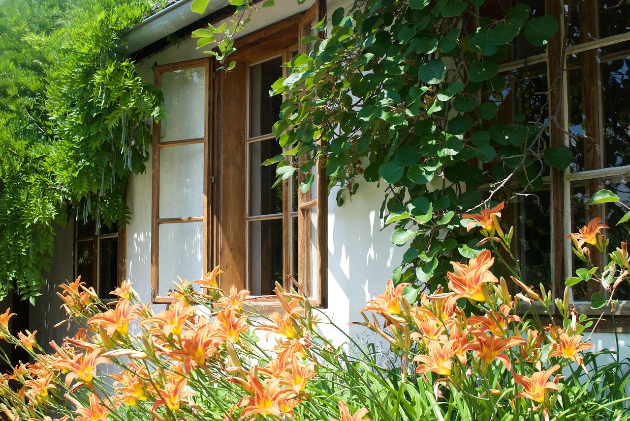 Maison Fleur Terrasse La - Photo gratuite sur Pixabay - Pixabay