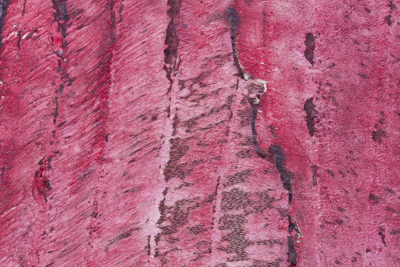 Wood Bark Structure - Free photo on Pixabay - Pixabay