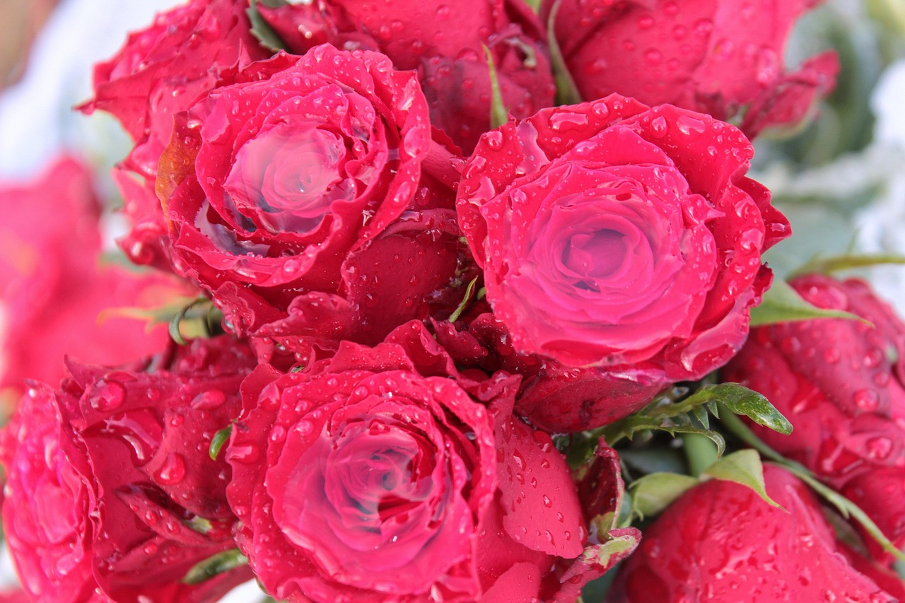 Bouquet Of Roses Bunch - Free photo on Pixabay - Pixabay