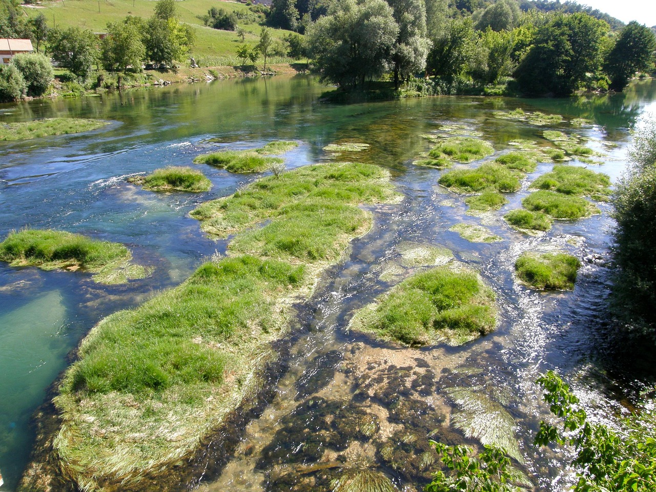 Swamp Low Water - Free photo on Pixabay - Pixabay