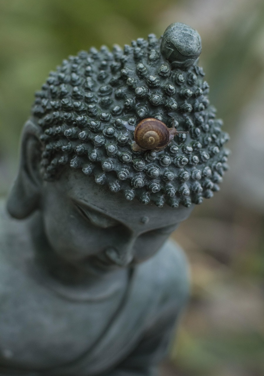 Buddha Snail Buddhist - Free photo on Pixabay