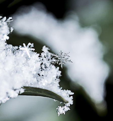300+ Free Snow Flakes & Snow Images - Pixabay