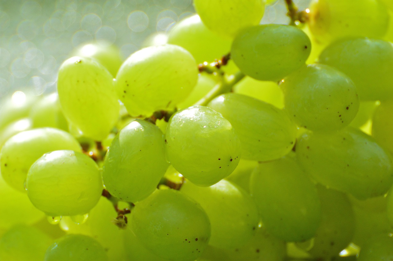 Uvas Fruta Saludable - Foto gratis en Pixabay - Pixabay