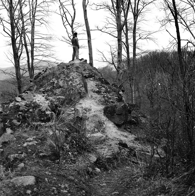 Wanderer Wandern Wald - Kostenloses Foto auf Pixabay - Pixabay