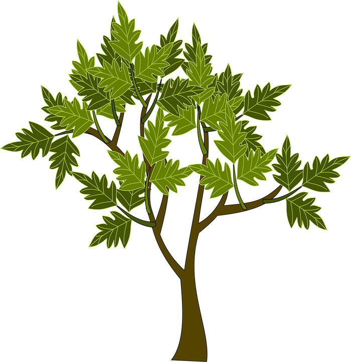 Download Tree, Nature, Green. Royalty-Free Vector Graphic - Pixabay