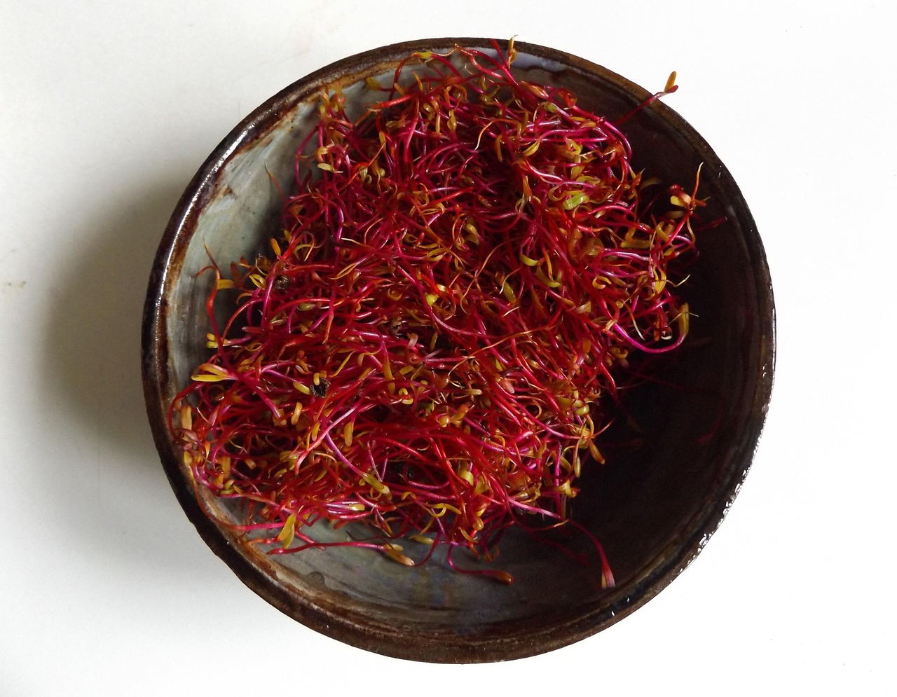 Sprouts Beetroot Healthy - Free photo on Pixabay - Pixabay
