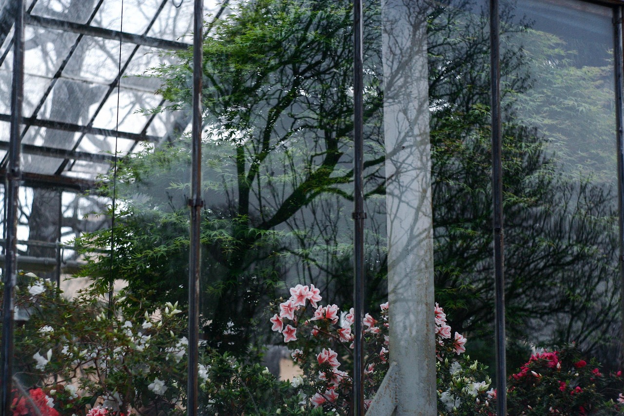 Ventana Reflexión Jardín Botánico - Foto gratis en Pixabay - Pixabay