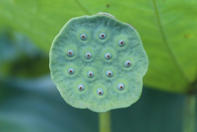 600+ Free Weird & Strange Images - Pixabay