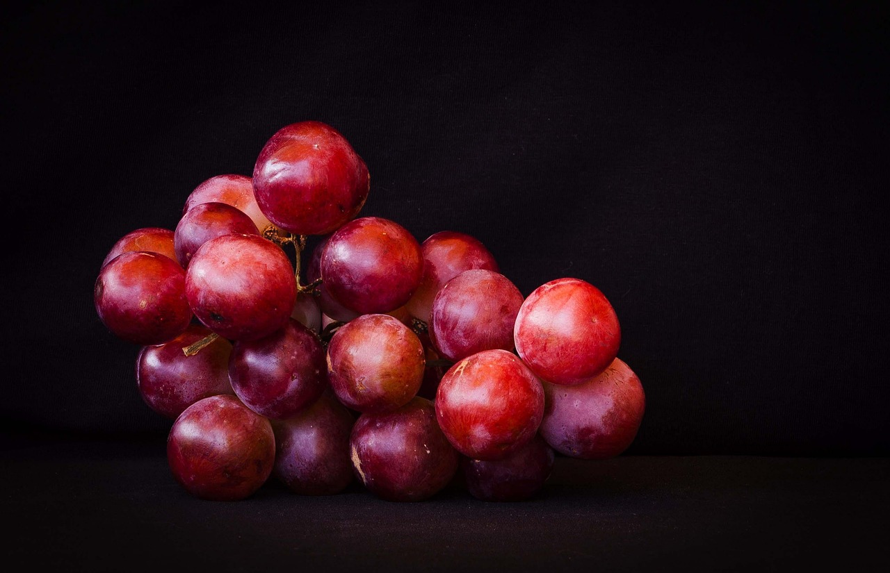 2,000+ Free Grape Vine & Vine Images - Pixabay
