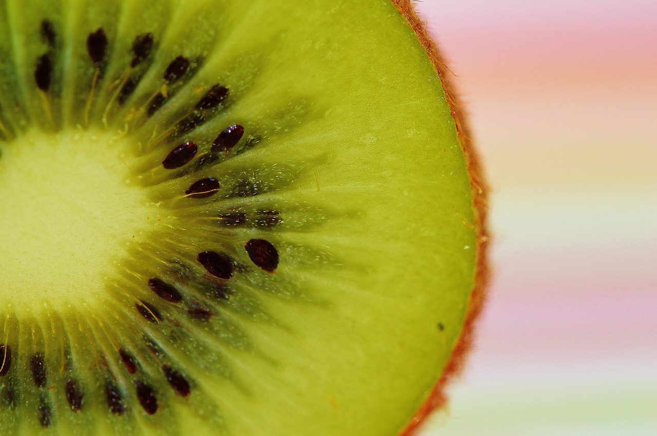 Kiwi Fruit Healthy - Free photo on Pixabay - Pixabay