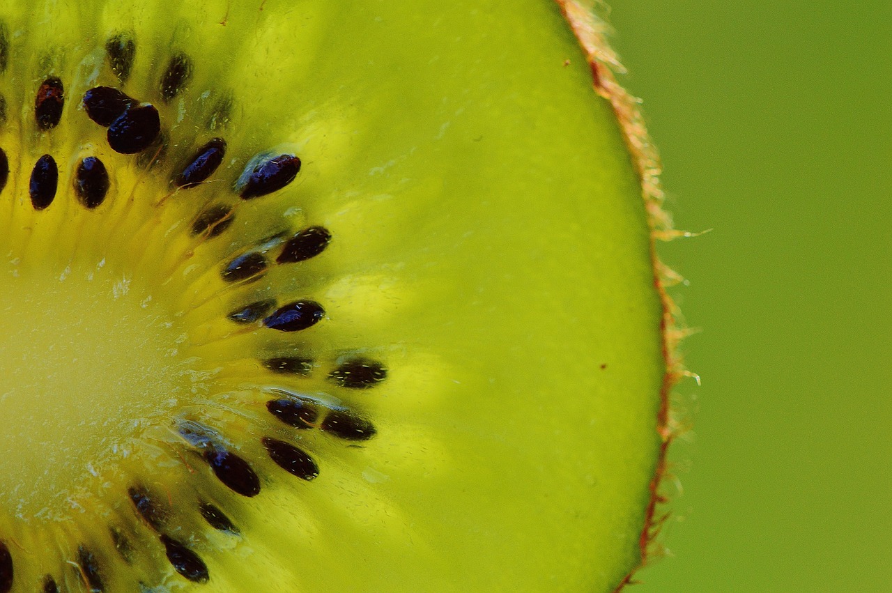 1,000+ Free Kiwi & Fruit Images - Pixabay