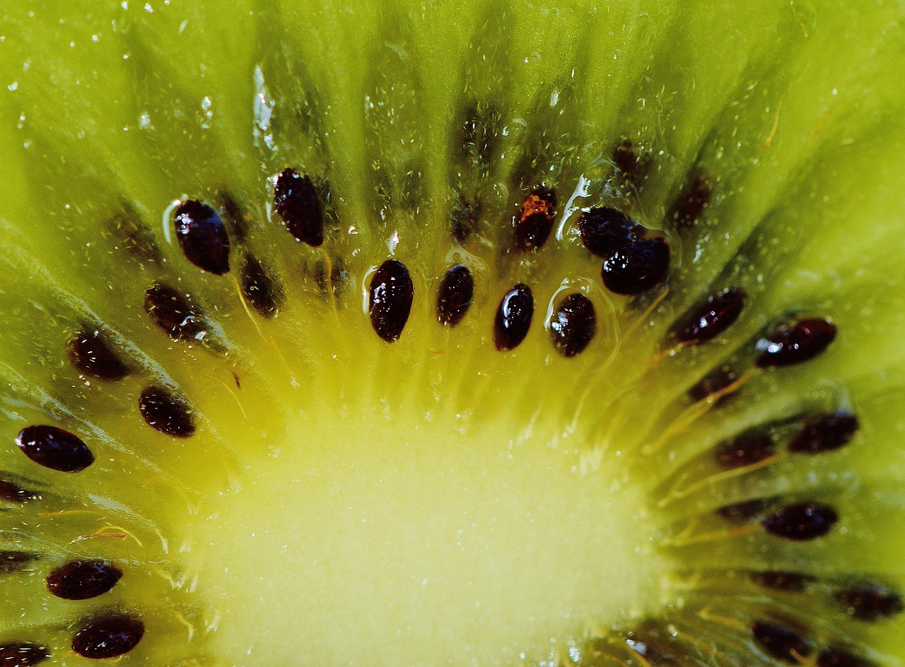 Kiwi Fruit Healthy - Free photo on Pixabay - Pixabay