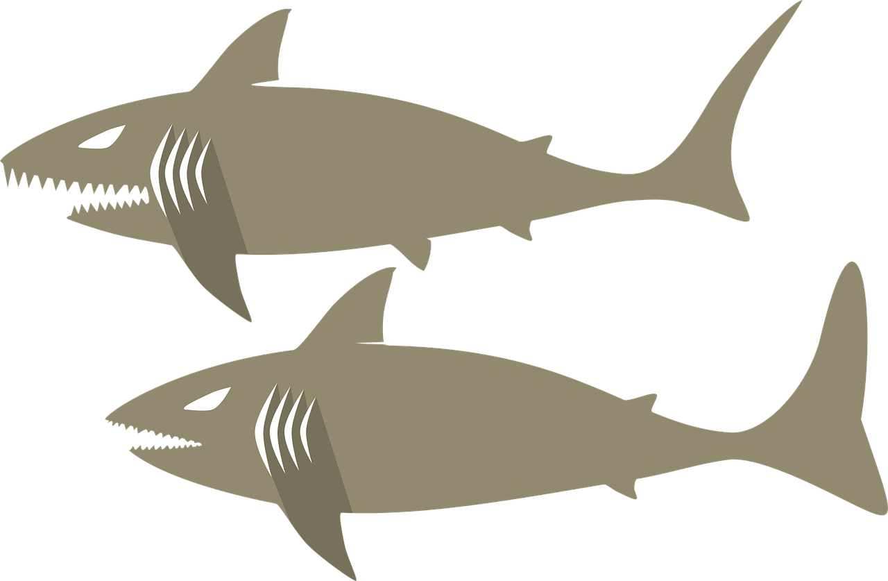 Over 100 Free Shark Vectors - Pixabay
