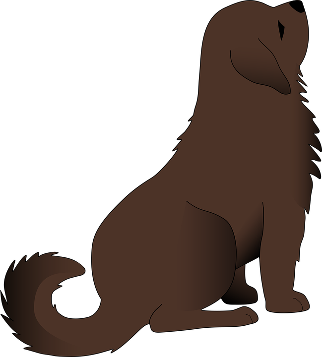 Download Animal, Nature, Dog. Royalty-Free Vector Graphic - Pixabay