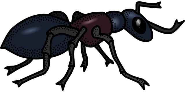 200+ kostnadsfria Myra- och Insekt-illustrationer - Pixabay