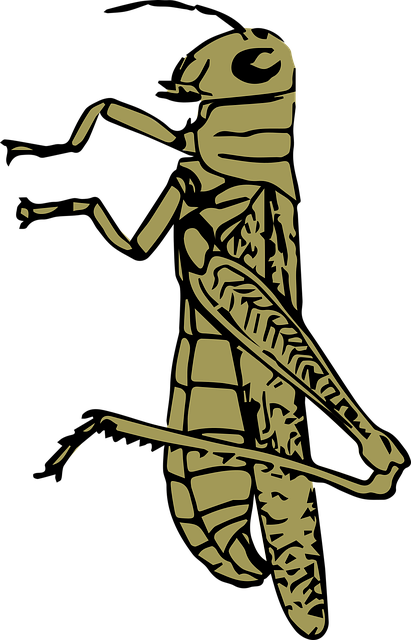 Free Grasshopper Vector Art - Download 61+ Grasshopper Icons & Graphics ...