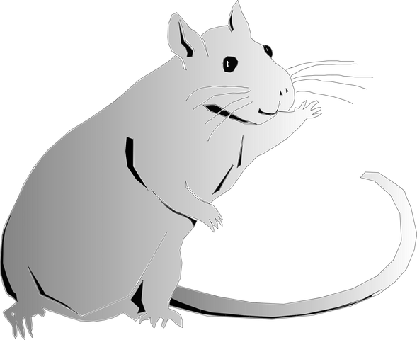 Over 100 Free Rat Vectors - Pixabay