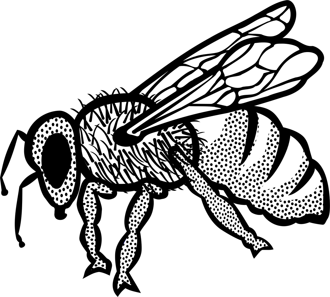 Over 200 Free Bee Vectors - Pixabay