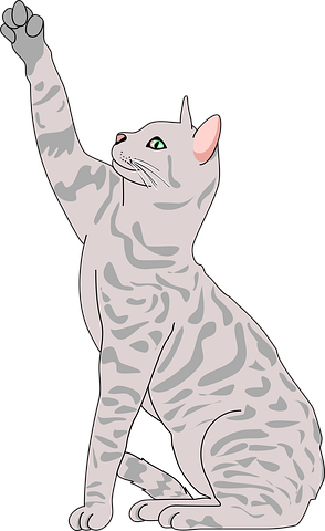 100+ Free Kitty & Cat Vectors - Pixabay