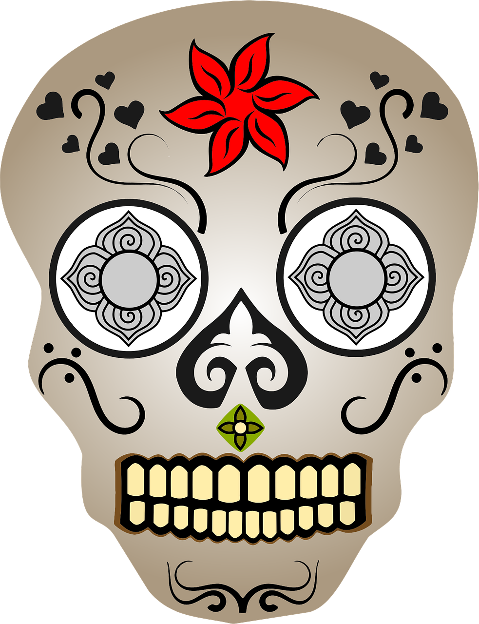 30,000+ Free Human Skulls & Skull Images - Pixabay