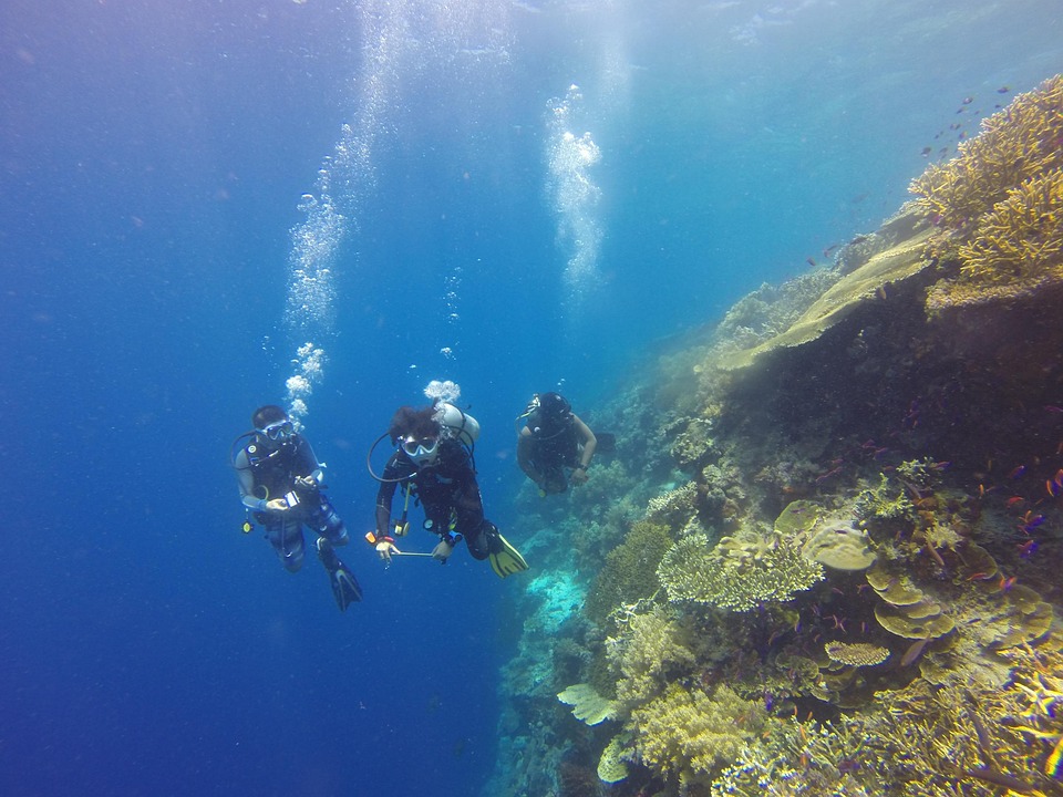 Scuba Diving - Free photo on Pixabay