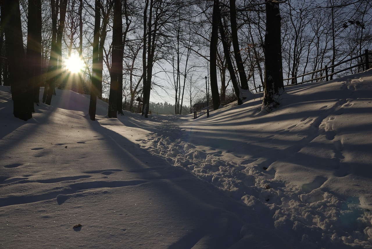 Nieve El Sol Invierno - Foto gratis en Pixabay - Pixabay