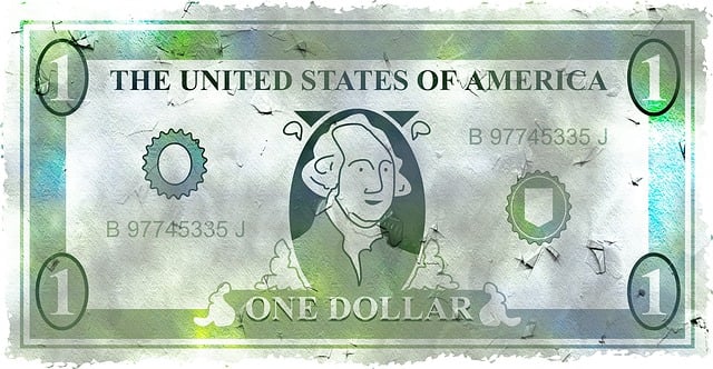 1 Dollar Bill Cartoon
