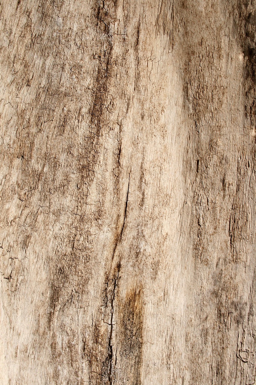 Holz Getreide Textur - Kostenloses Foto auf Pixabay - Pixabay
