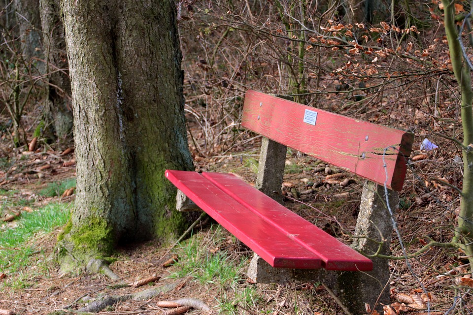 Bank Baum Ruhe - Kostenloses Foto auf Pixabay - Pixabay