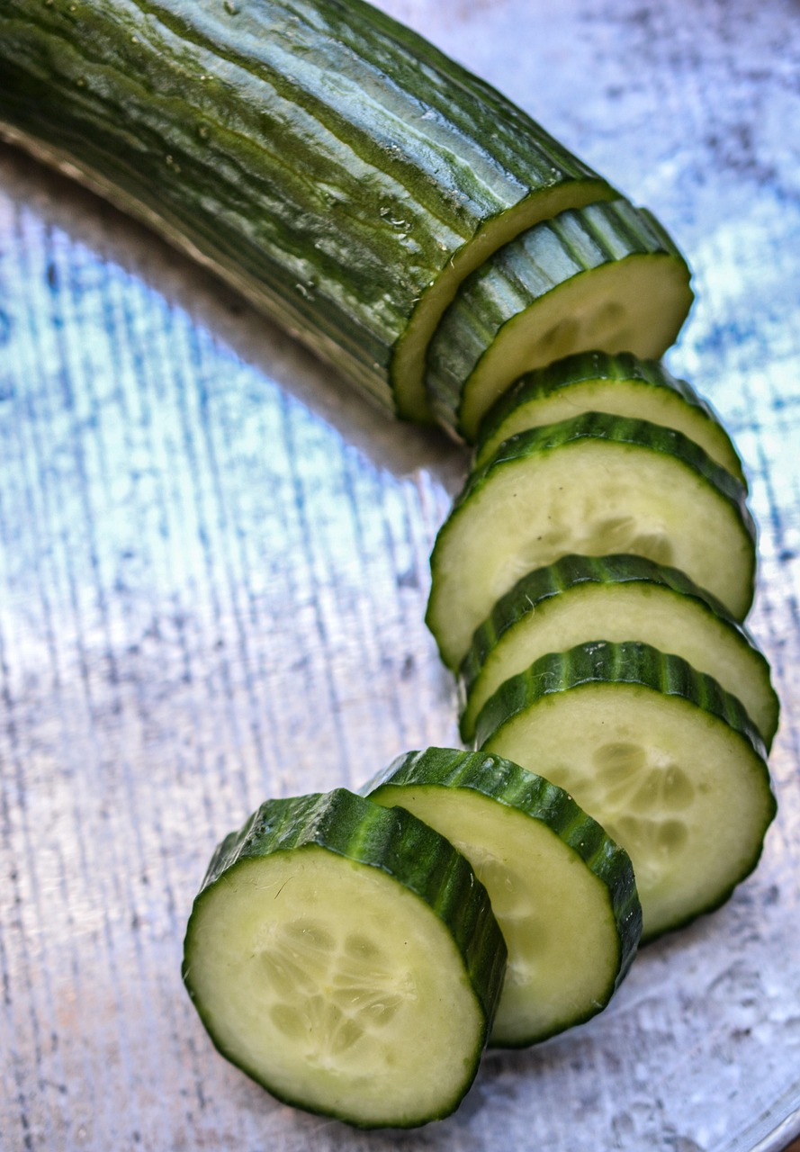 Cucumber Slices Green - Free photo on Pixabay - Pixabay