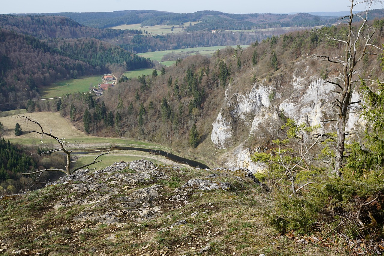 Valle Del Danubio Bosque - Foto gratis en Pixabay - Pixabay